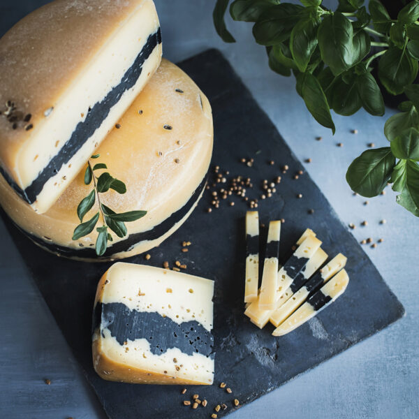 Brandintas fermentinis sūris | Sūrio džiazas